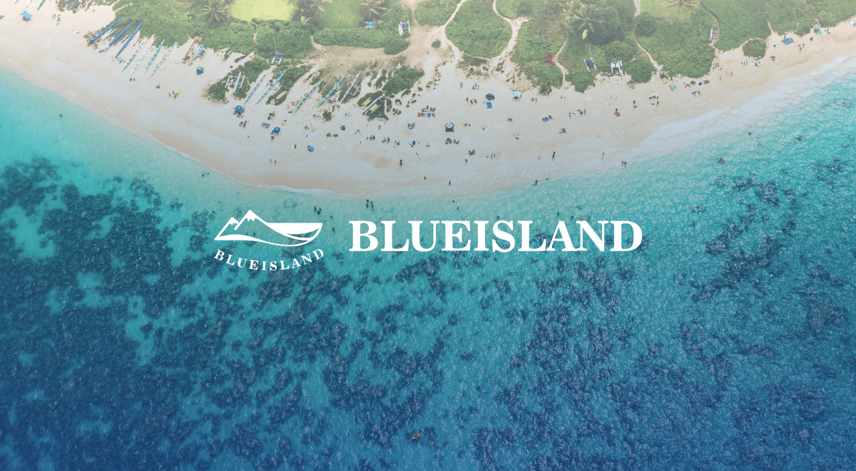 テクノロジーで、世界を青に変えていく。 | BlueIsland Ltd.